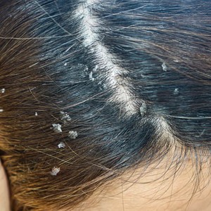 Eyelash Extensions Near Me: the+sharkey | Appointments | StyleSeat