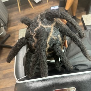 Eyebrow Threading Near Me: New+smyrna+interracial+ Make+up ...